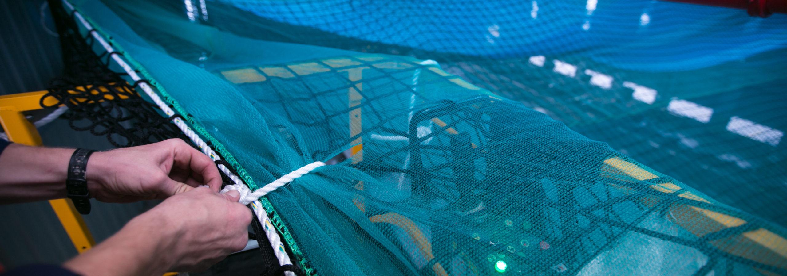 General Information - Faset